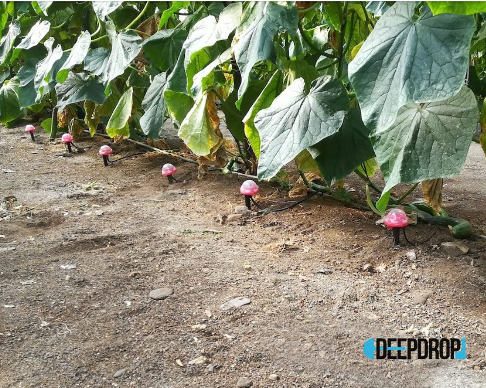 Deep Drop: La Innovadora Solución de Riego Sostenible para Optimizar ...